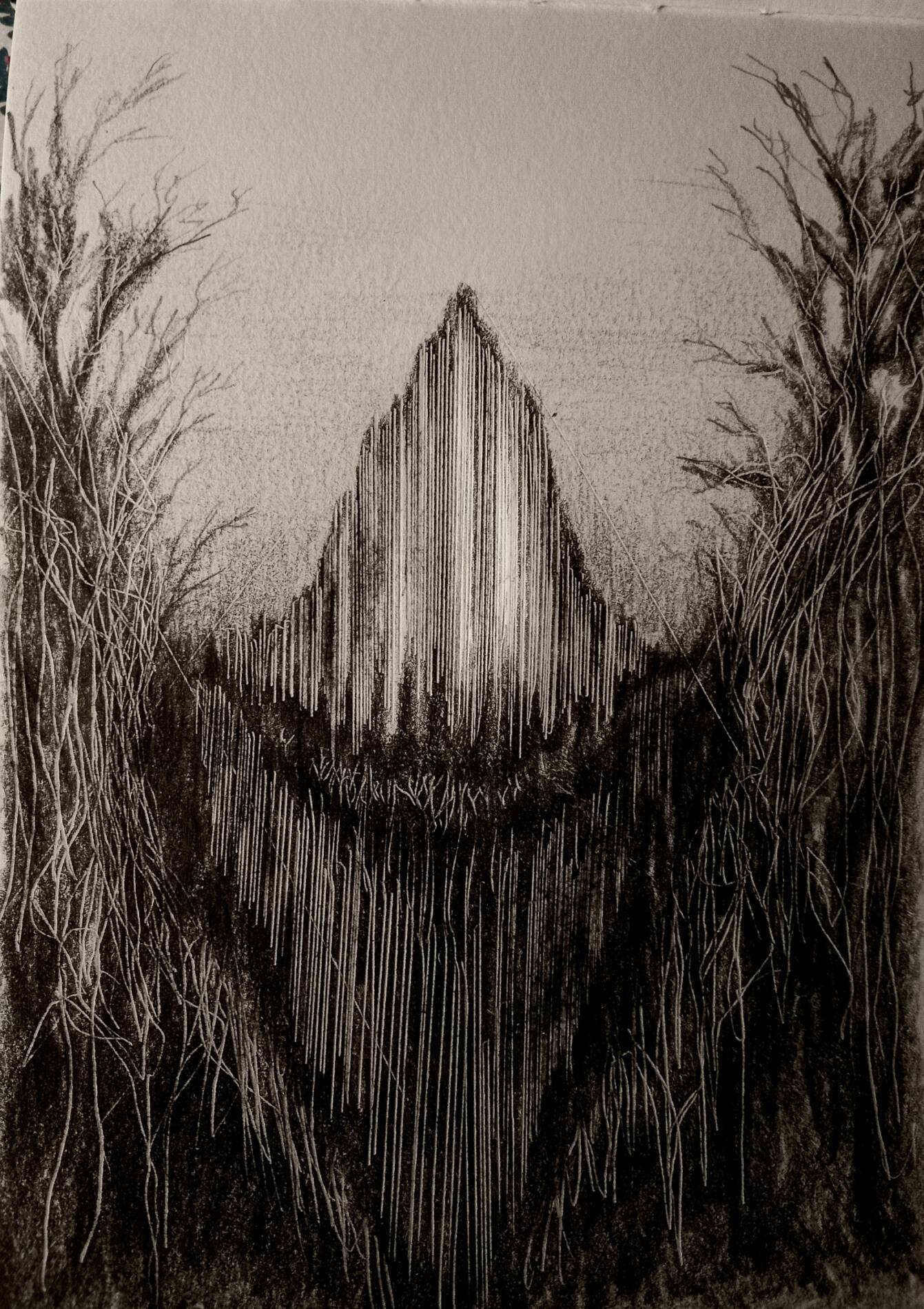 Incident at Castle Freke Woods by Gavin Porter, dark Drawings for sale ...